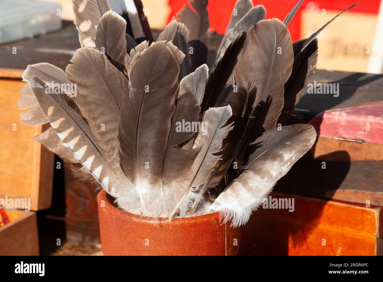 Feathers up close hi-res stock photography and images - Alamy