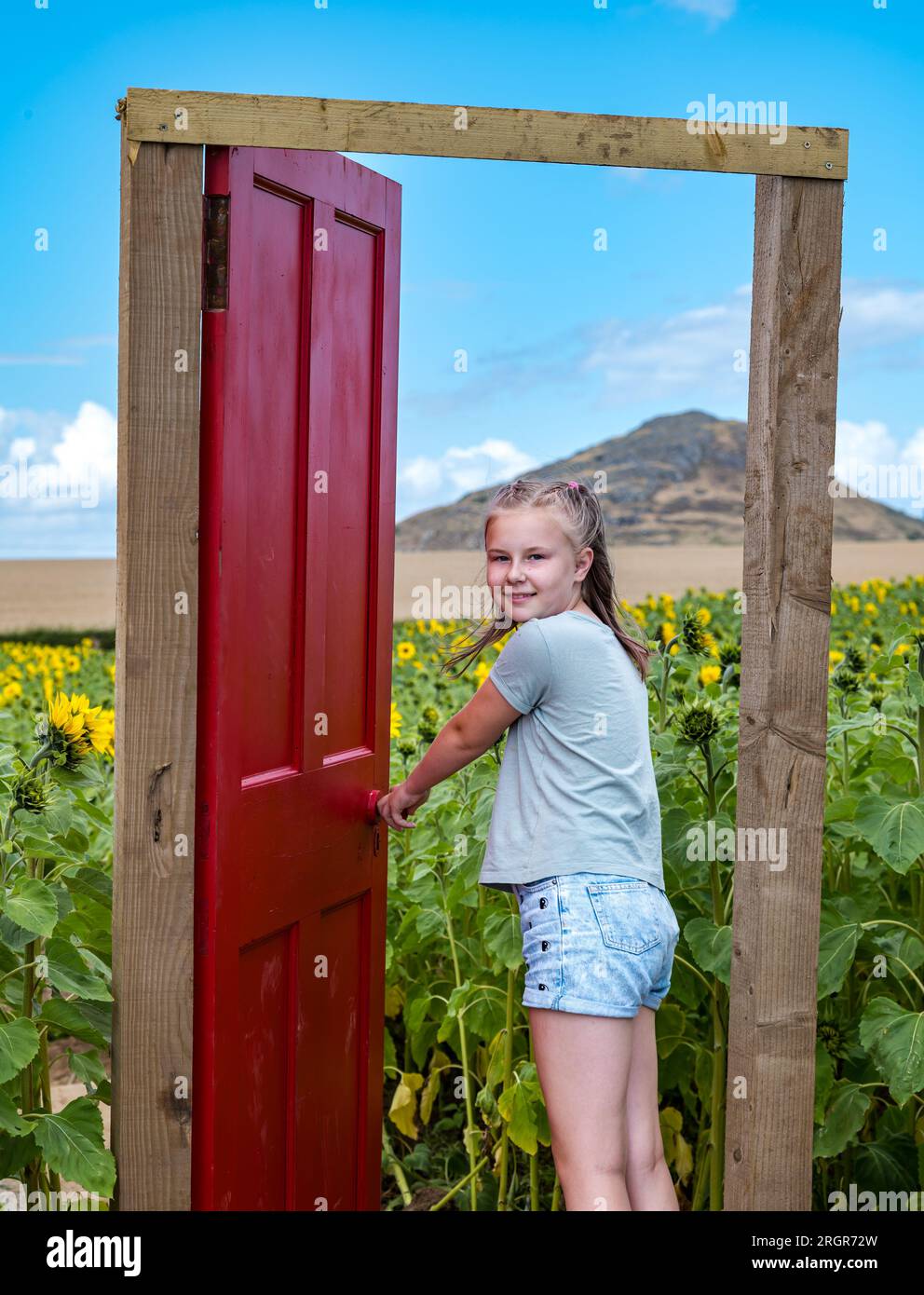 Balgone Farm, East Lothian, Scotland, UK, 11th August 2023. Balgone ...