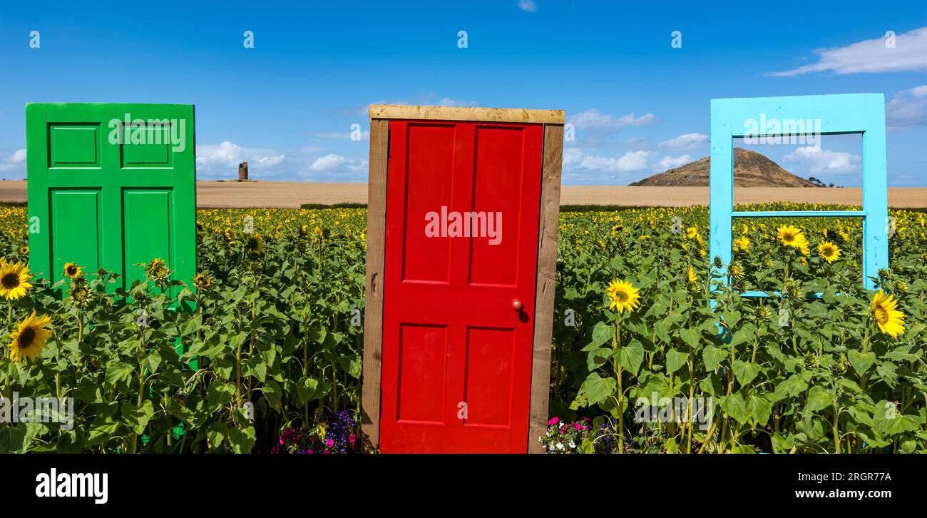 Balgone Farm, East Lothian, Scotland, UK, 11th August 2023. Balgone ...