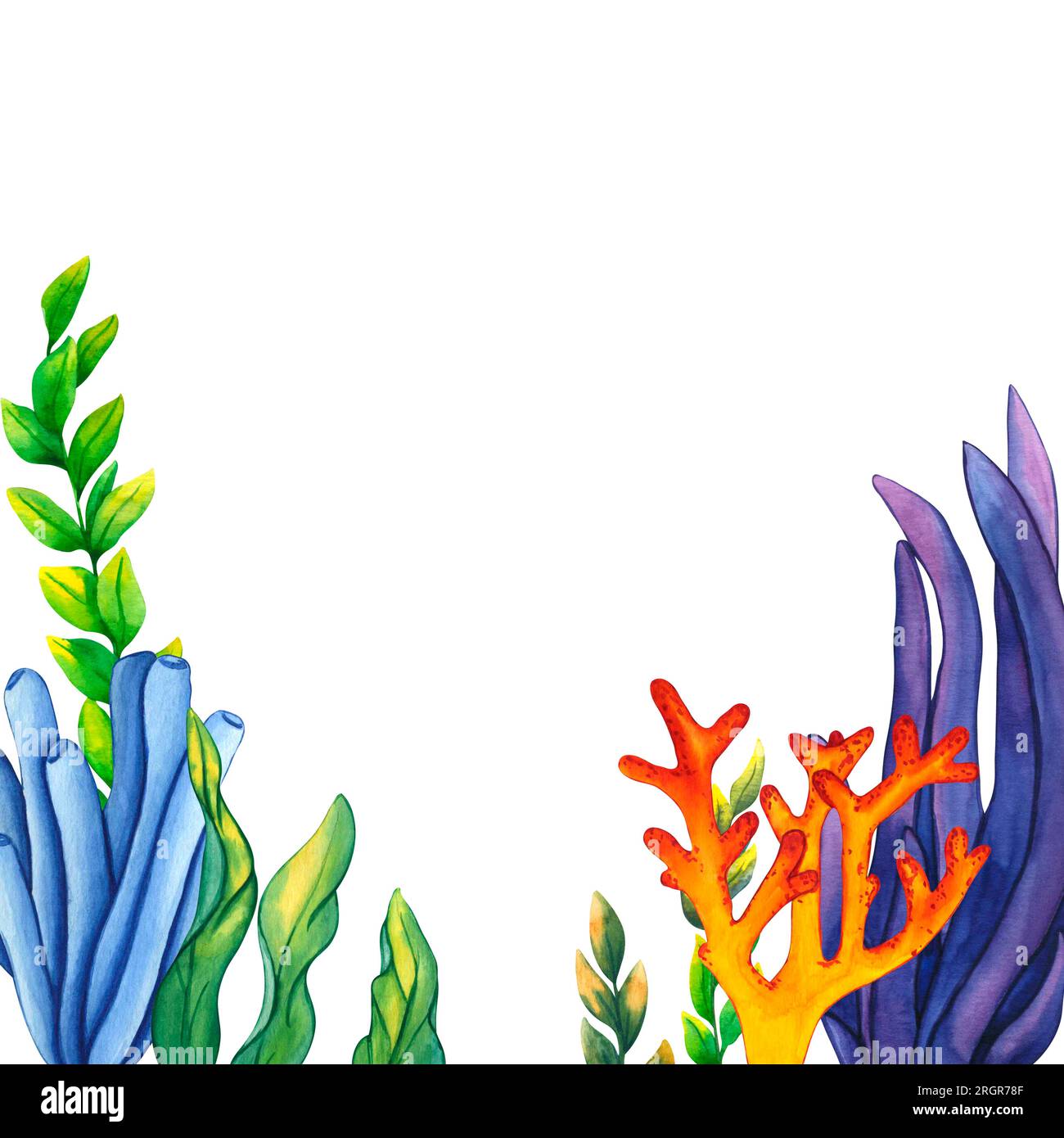 Frame. Watercolor green blue seaweed and coral. Sea character isolated ...