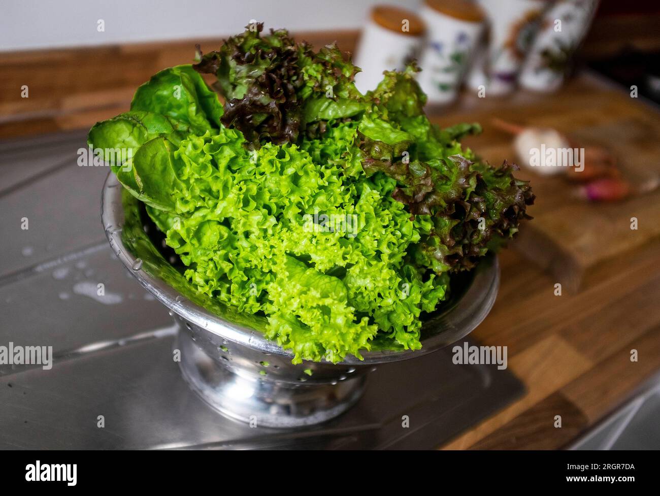 Frisee lettuce hi-res stock photography and images - Alamy