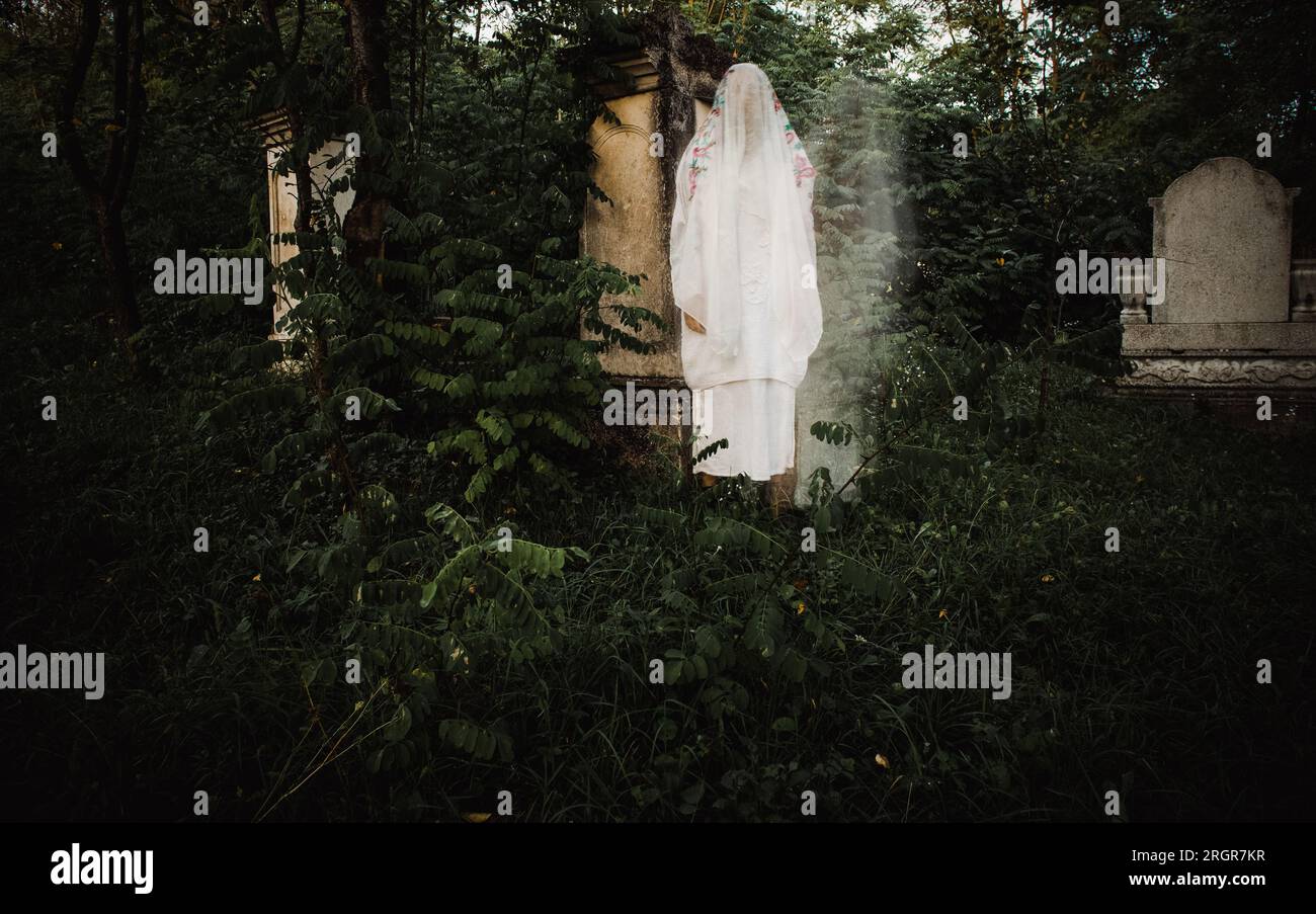 scary ghost in cemetery at night Halloween background Stock Photo - Alamy