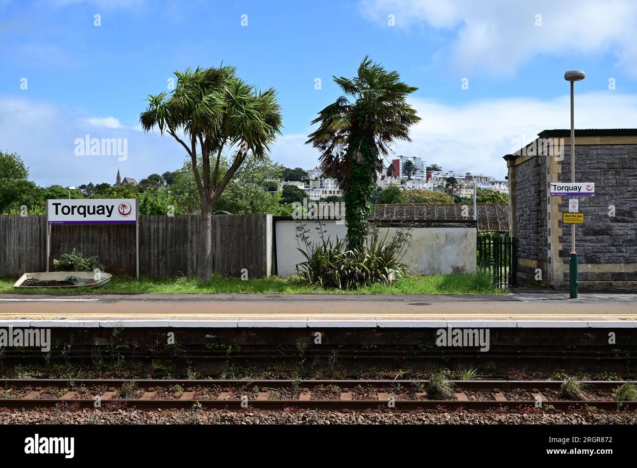 Palm trees on the platform at Torquay railway station, South Devon ...