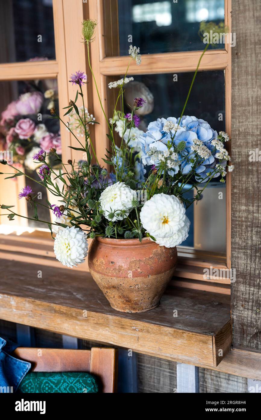 a rustic bouquet of blue hydrangeas, white chrysanthemums and dahlias ...