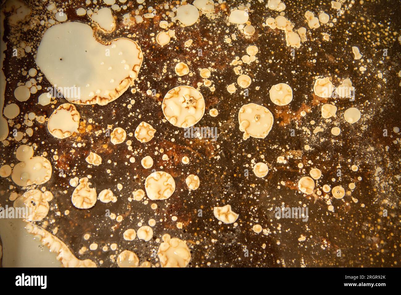 Leftover fat hi-res stock photography and images - Alamy