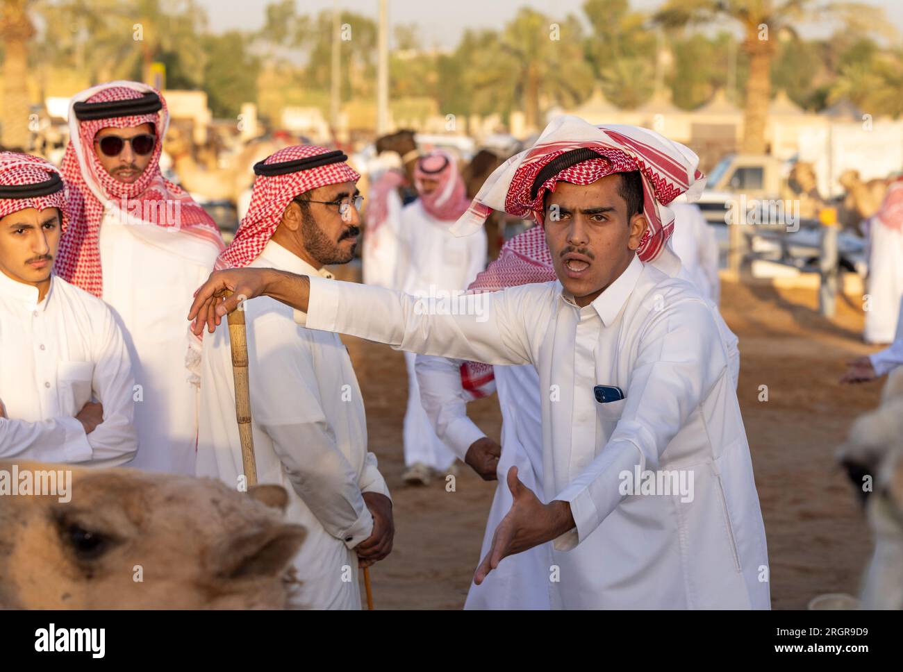 Buraydah, Saudi Arabia, 4th August 2023: saudi men at a camel market ...