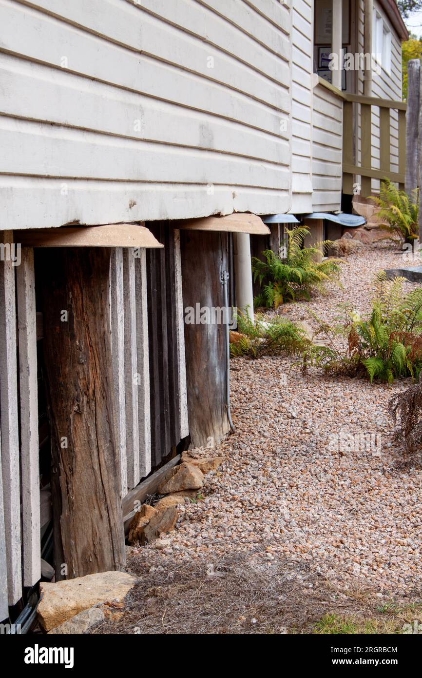 Concrete House Stumps with metal dish on top to protect wooden house ...