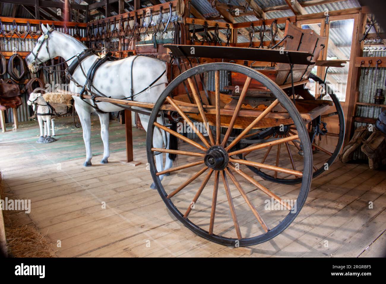 Gig or Cart with model horse, Herberton Historic Village, Herberton ...
