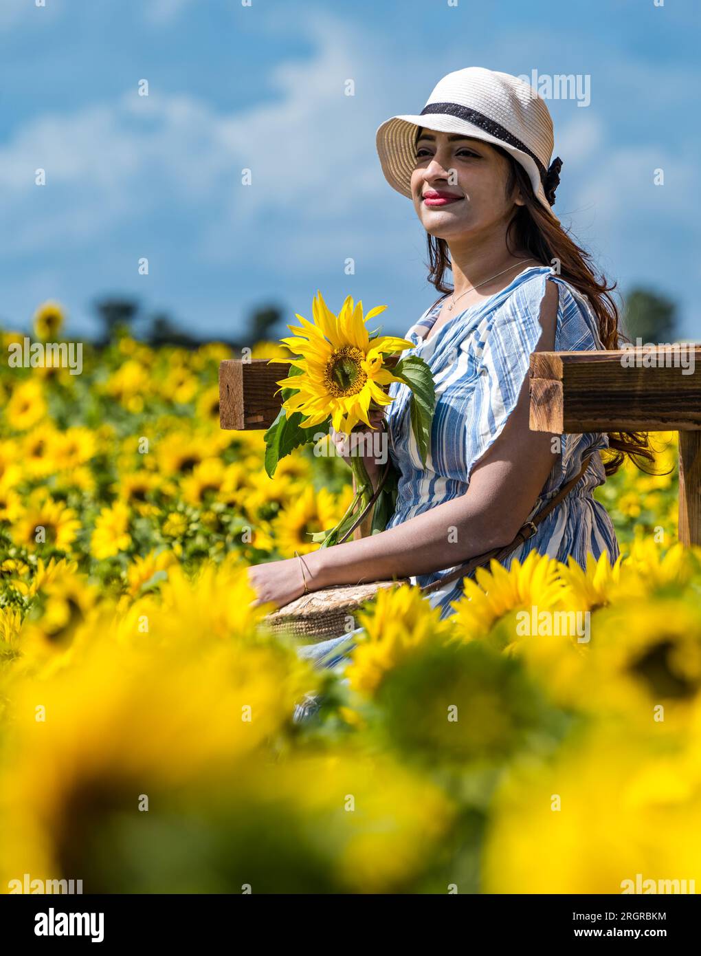 Balgone Farm, East Lothian, Scotland, UK, 11th August 2023. Balgone ...