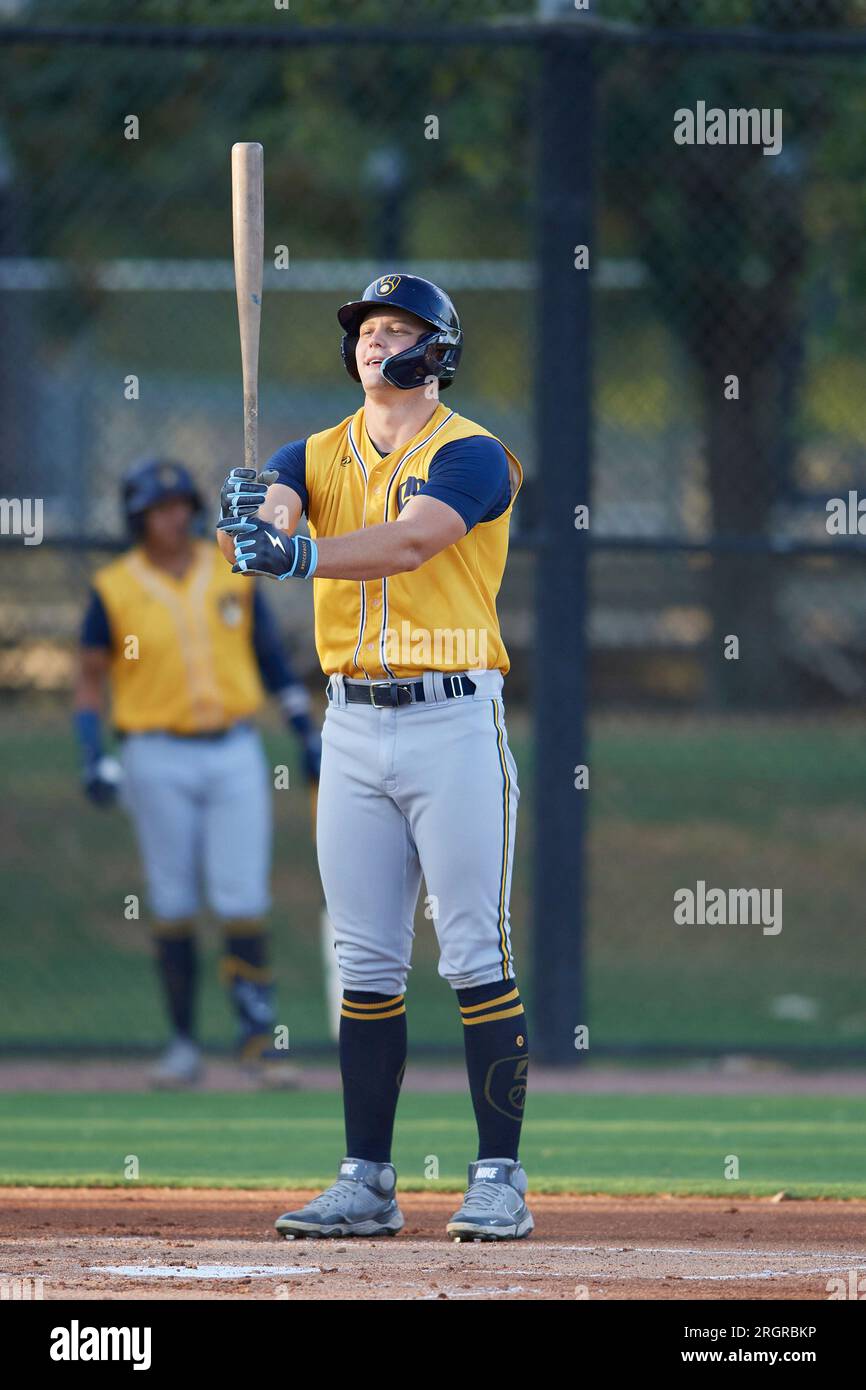 Brock Wilken (26) of the ACL Brewers at bat during an Arizona Complex ...