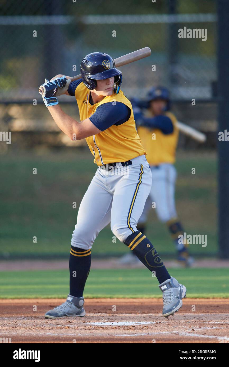 Brock Wilken (26) of the ACL Brewers at bat during an Arizona Complex ...