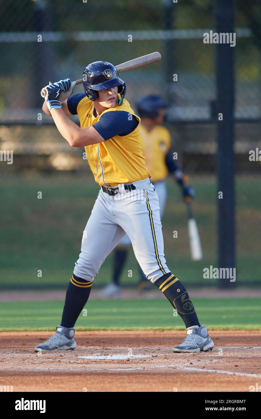 Brock Wilken (26) of the ACL Brewers at bat during an Arizona Complex ...