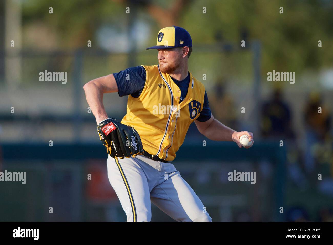 ACL Brewers starting pitcher Eric Lauer (16) delivers a pitch during an ...