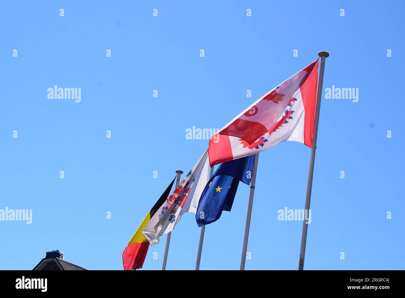 Flag of the wallonie hi-res stock photography and images - Alamy