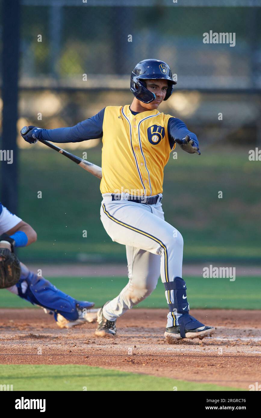 Edgardo Ordonez (43) of the ACL Brewers at bat during an Arizona ...