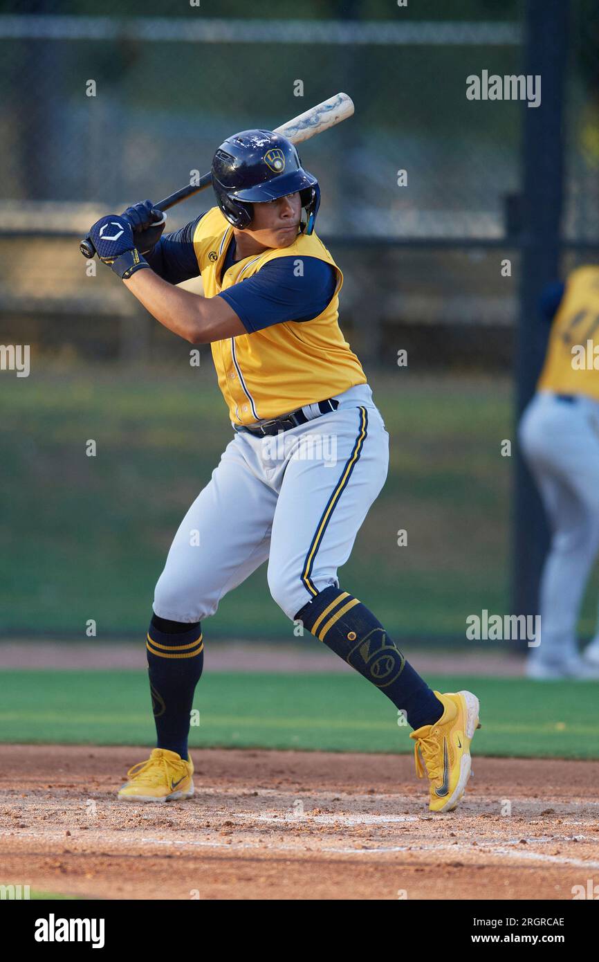Johan Barrios (6) of the ACL Brewers at bat during an Arizona Complex ...