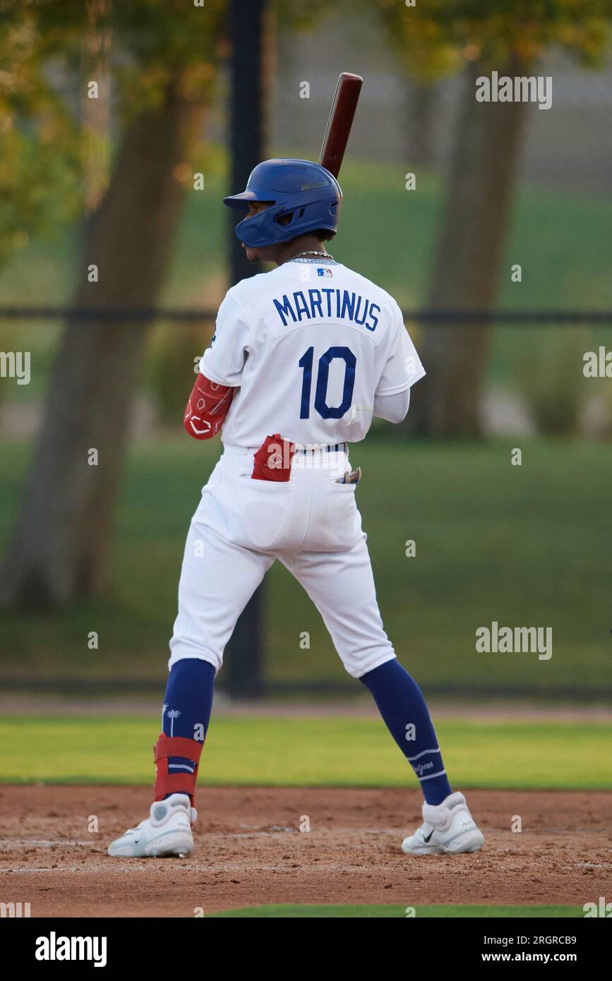 Mairoshendrick Martinus (10) of the ACL Dodgers at bat during an ...