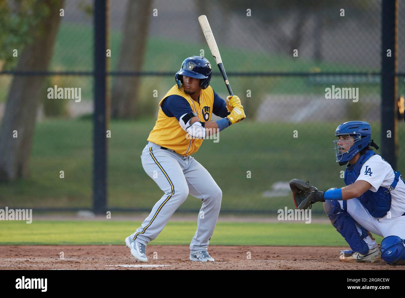 Yeison Perez (41) of the ACL Brewers at bat during an Arizona Complex ...
