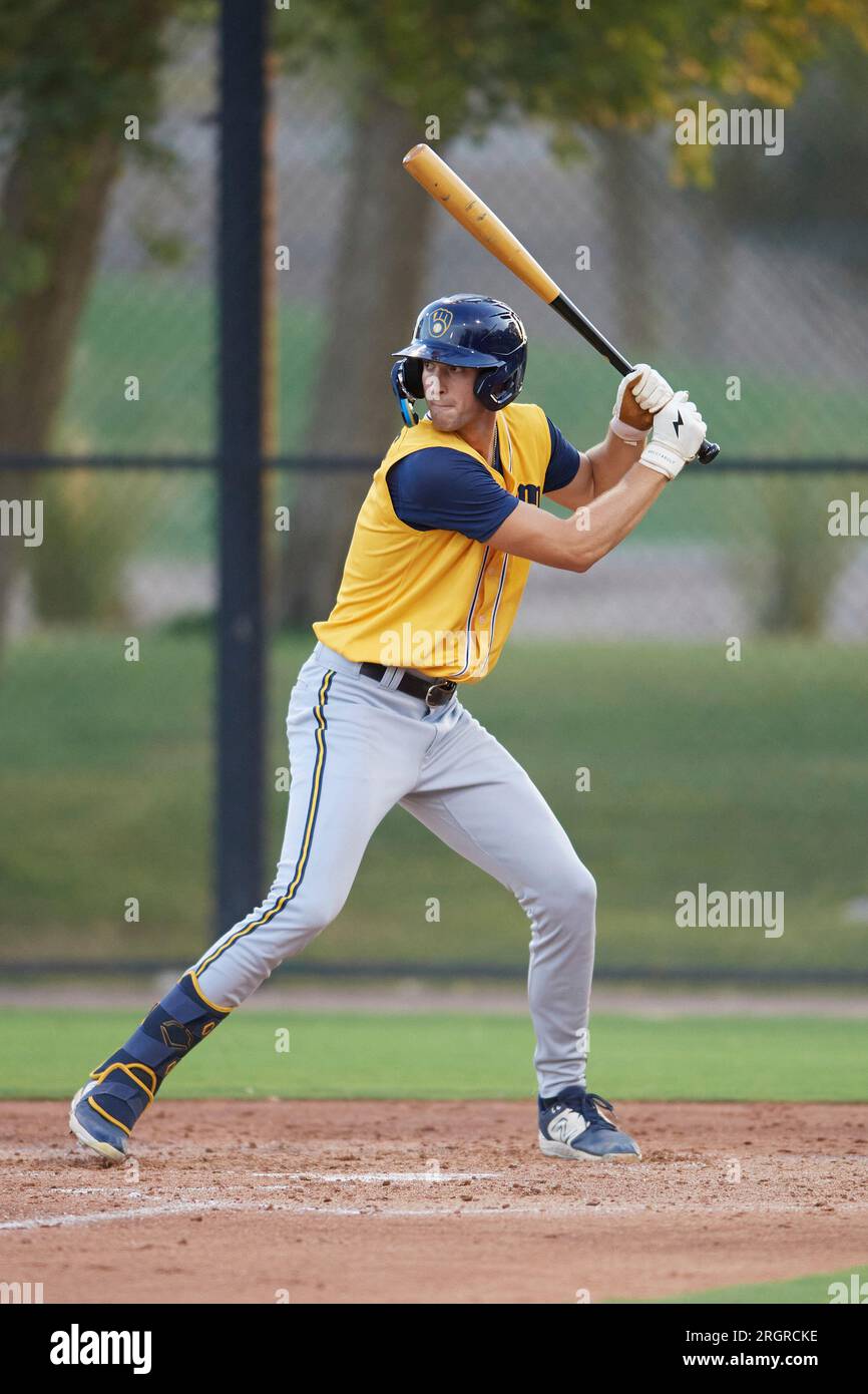 Luis Medina (24) of the ACL Brewers at bat during an Arizona Complex ...