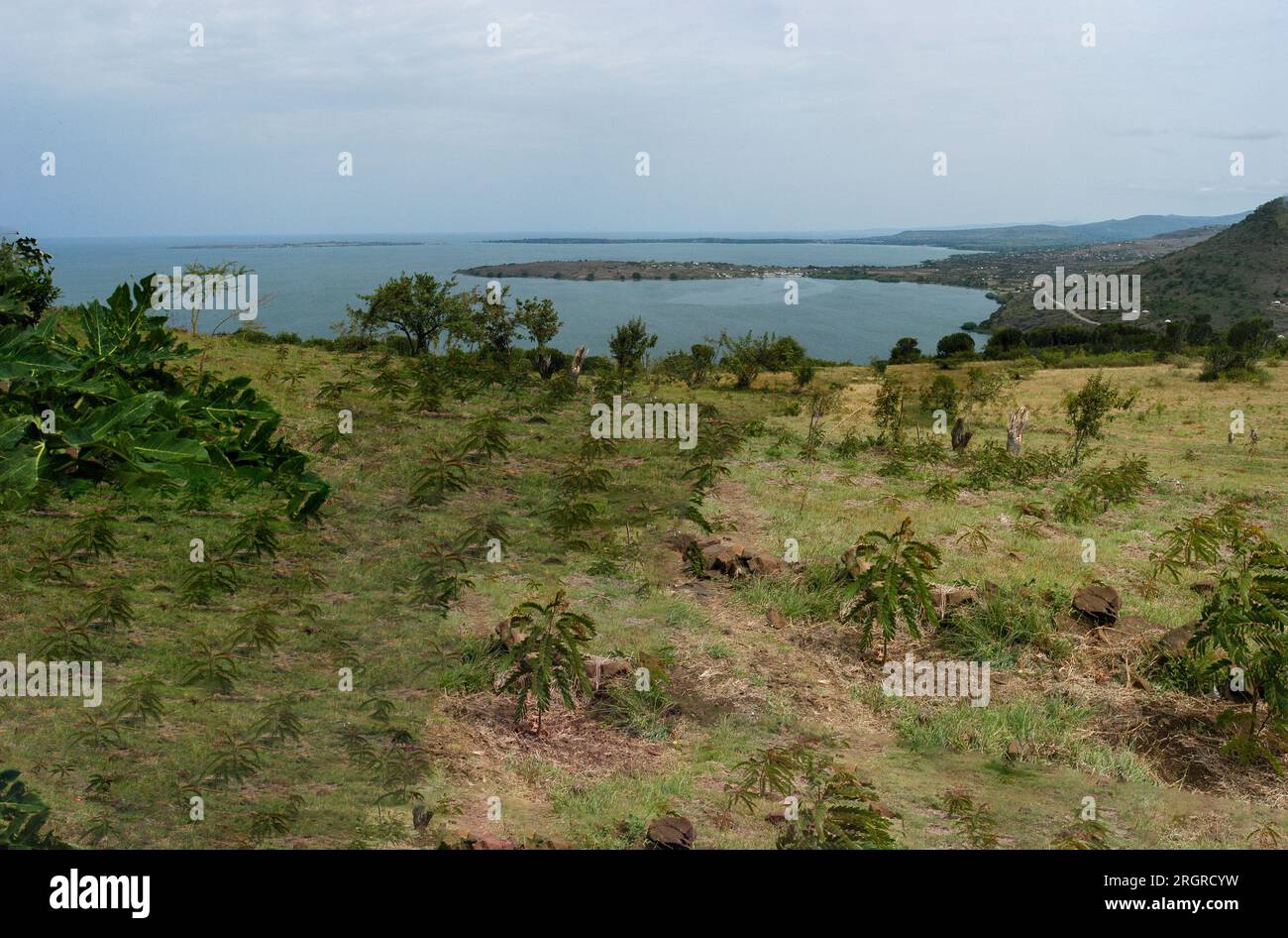 Lake Victoria, Kenya Stock Photo - Alamy