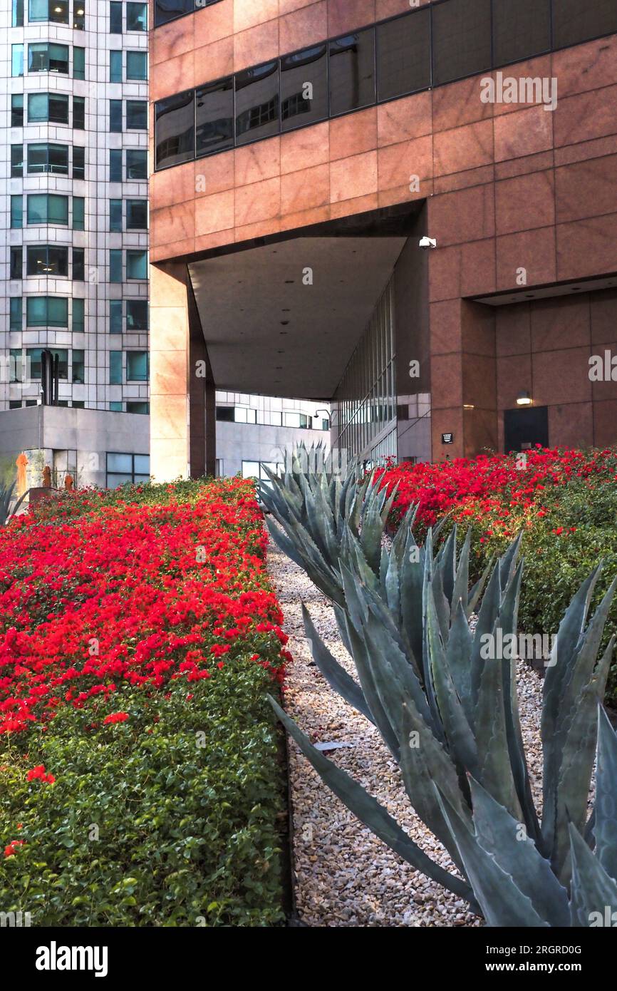 Contemporary architecture, skyscrapers, palm trees and flower beds ...
