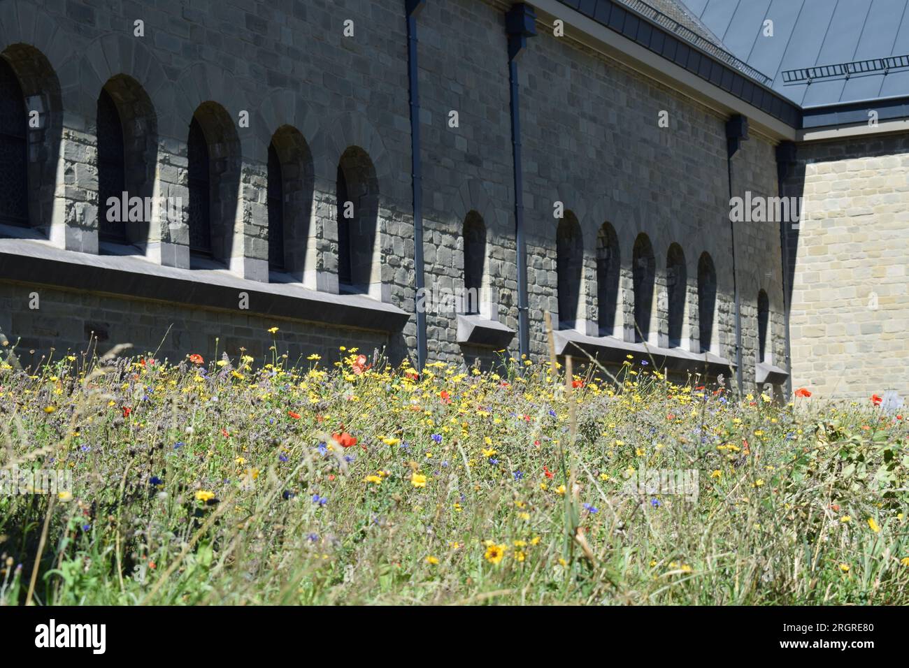 Church Sankt Vitus in St. Vith Stock Photo - Alamy