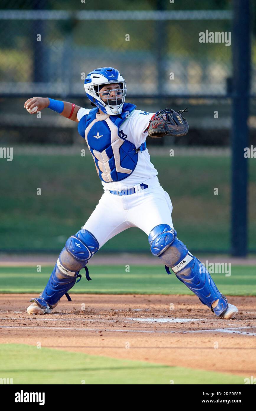 ACL Dodgers catcher Carlos Rojas (7) during an Arizona Complex League ...