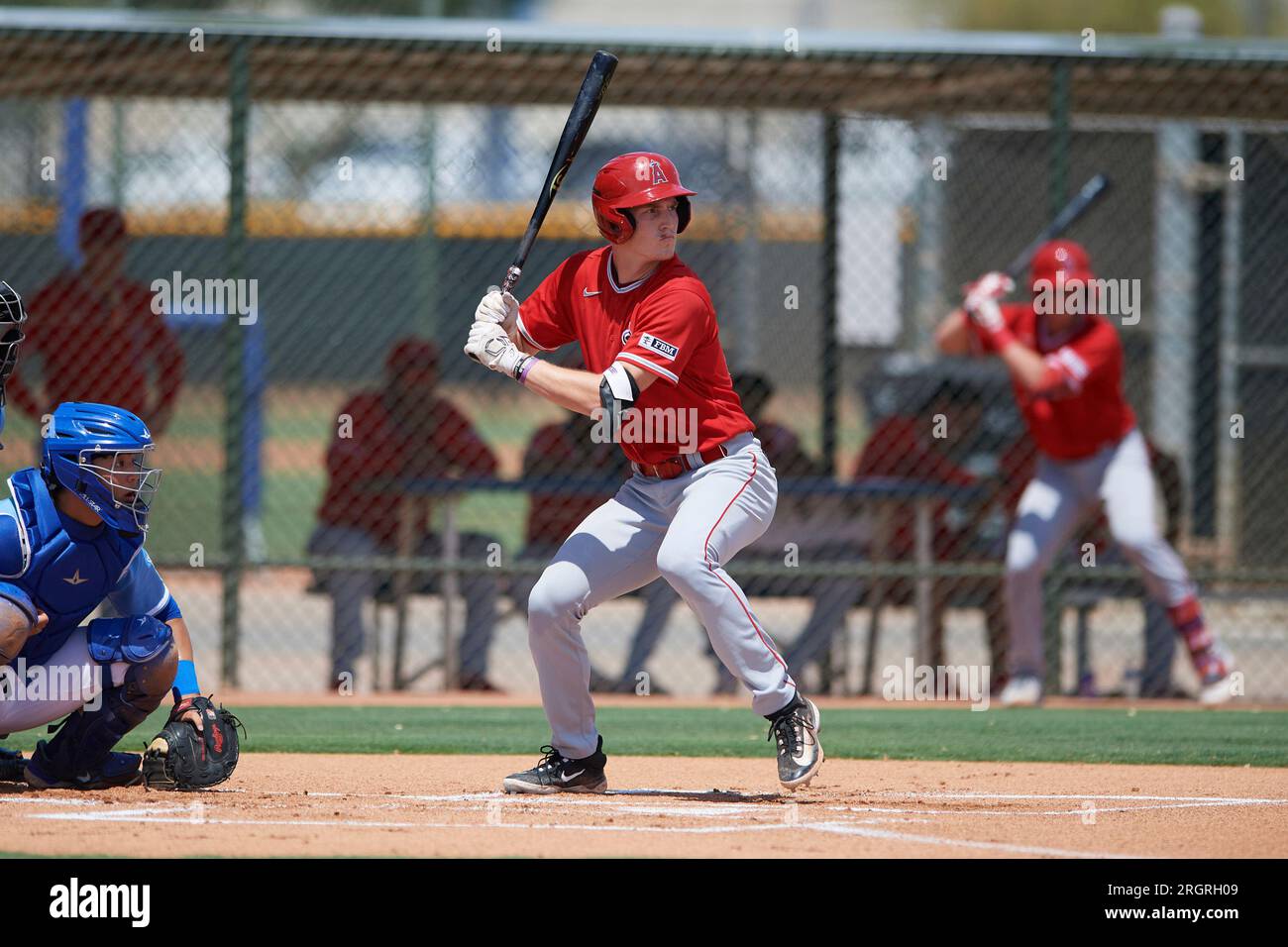Cole Fontenelle (14) of the ACL Angels at bat during an Arizona Complex ...
