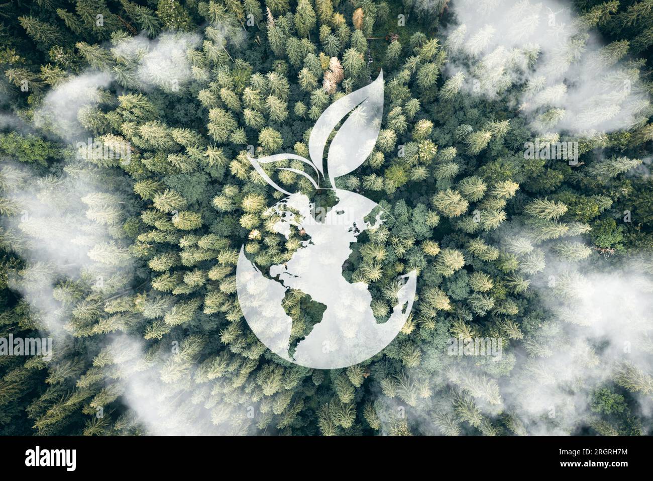 Environmental graphic hi-res stock photography and images - Alamy