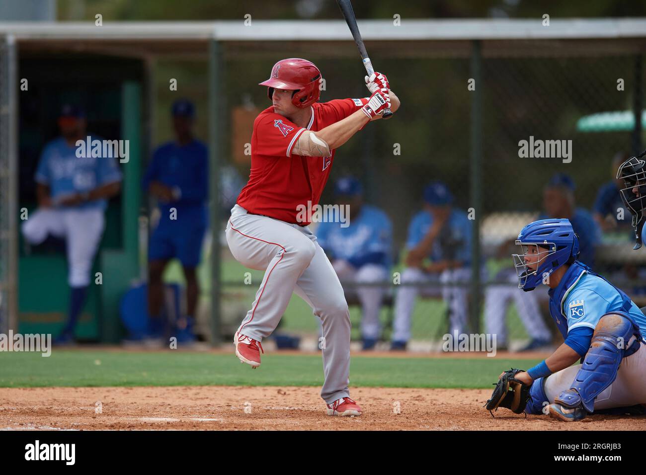 Nolan Schanuel (12) of the ACL Angels at bat during an Arizona Complex ...