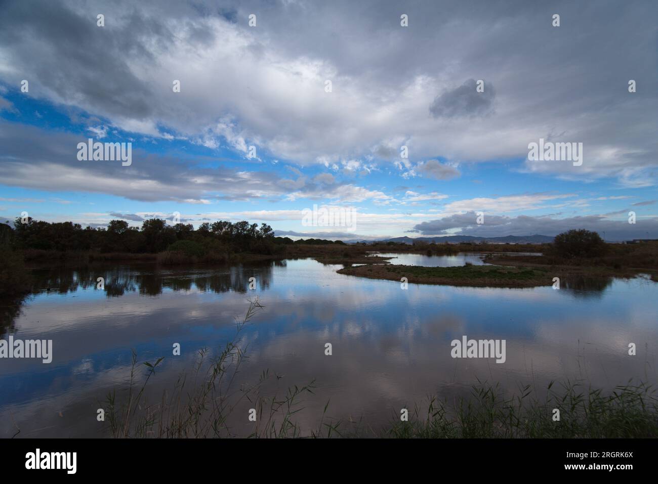 Ecosistema biodiversidad agua hi-res stock photography and images - Alamy