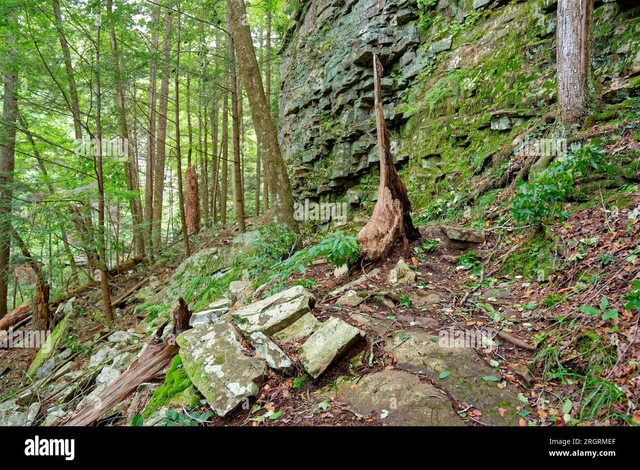 Rocky uneven terrain hi-res stock photography and images - Alamy