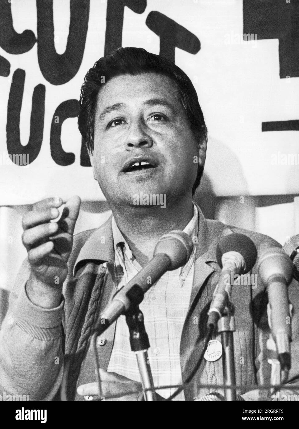 Cesar Chavez Flag Wallpaper