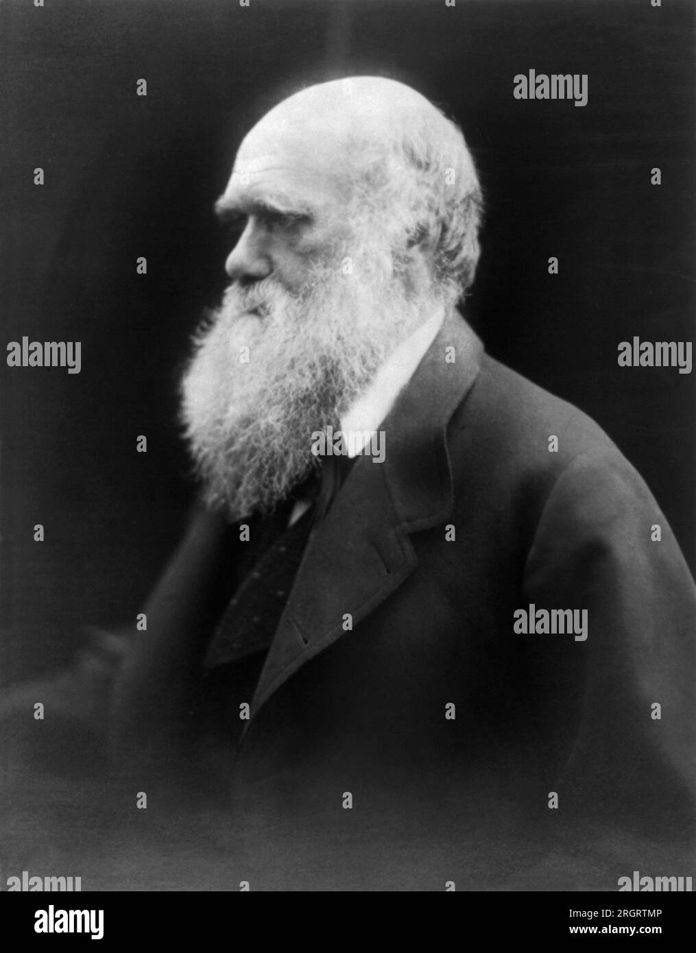 England: c. 1870 A portrait of scientist and naturalist Charles Darwin ...