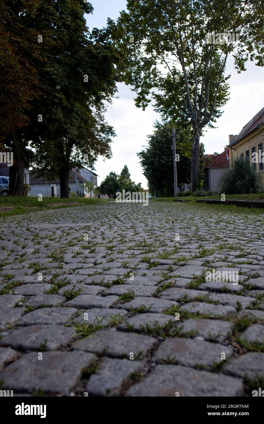 Gray stone pavement hi-res stock photography and images - Alamy
