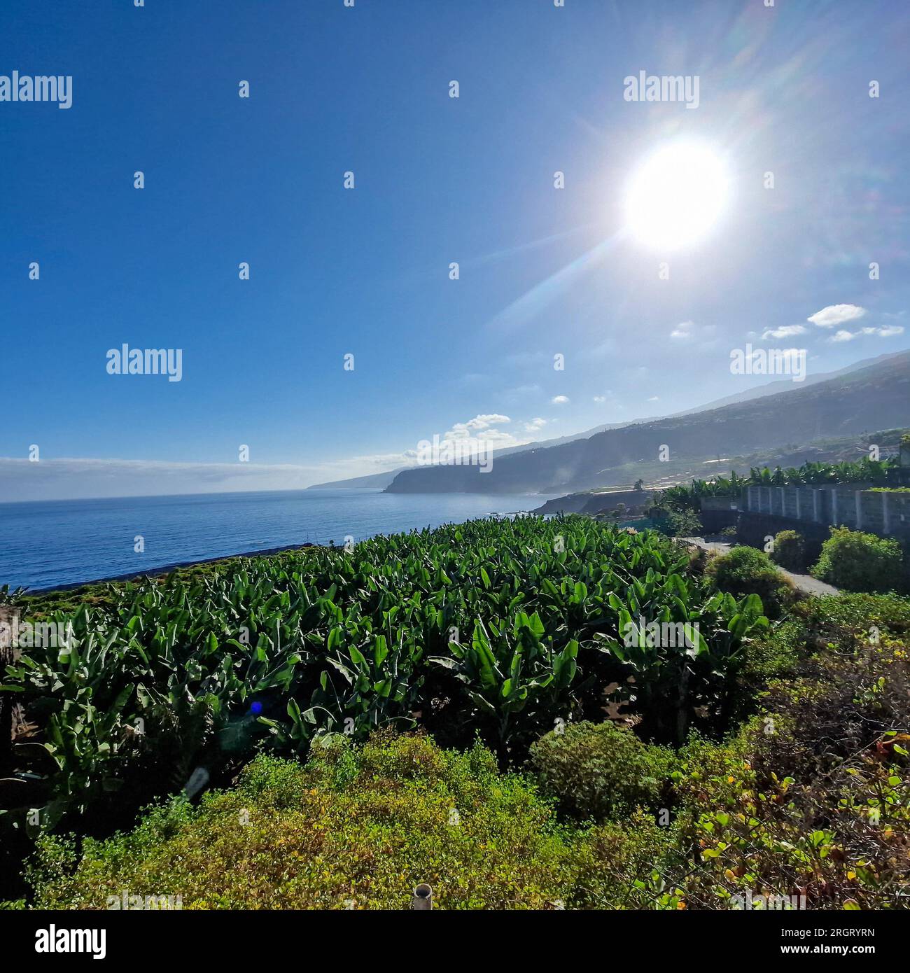Showcasing rows hi-res stock photography and images - Alamy