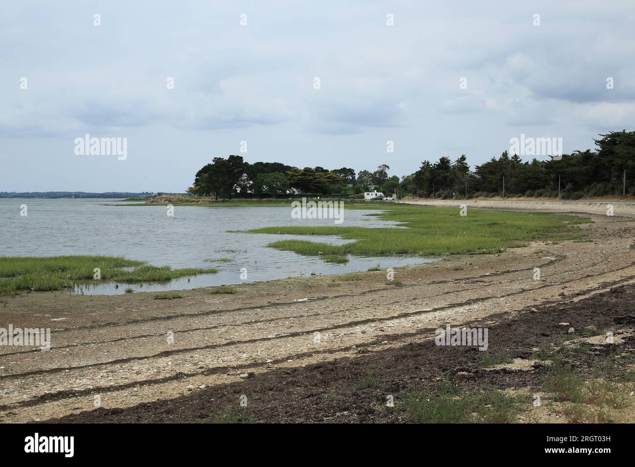 Coastal road and bay at low tide with views across the Golfe du ...