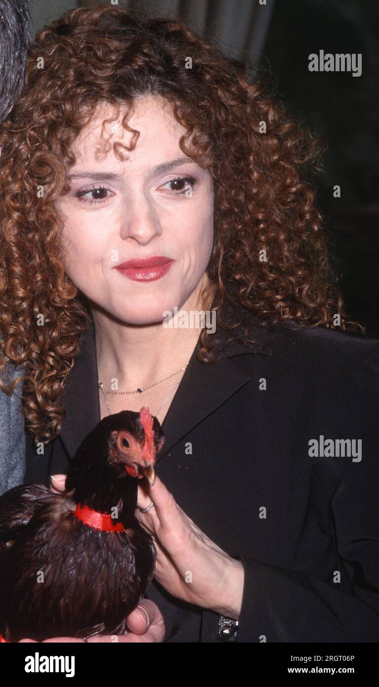 Bernadette peters hi-res stock photography and images - Alamy