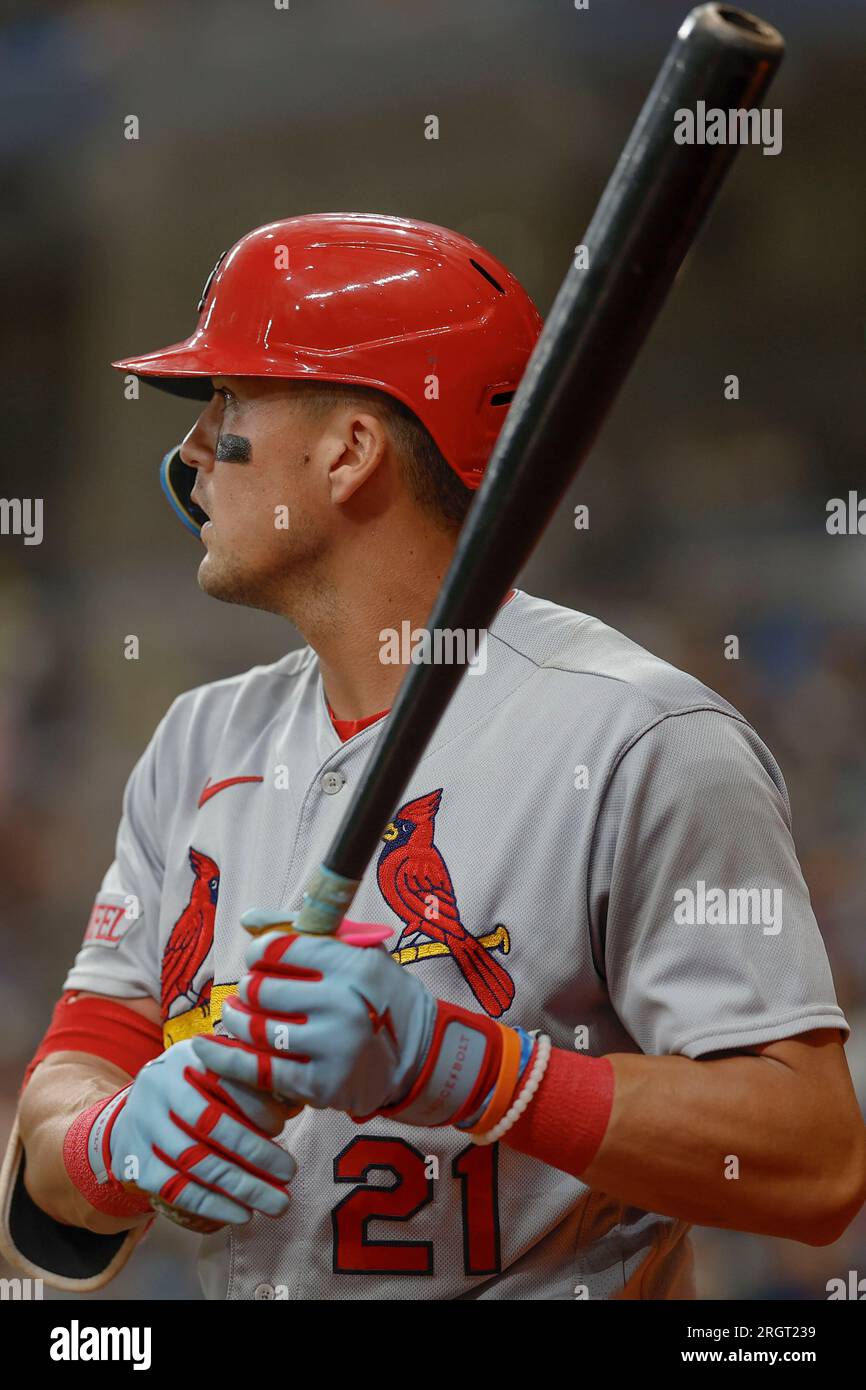 Lars nootbaar st louis cardinals hi-res stock photography and images ...