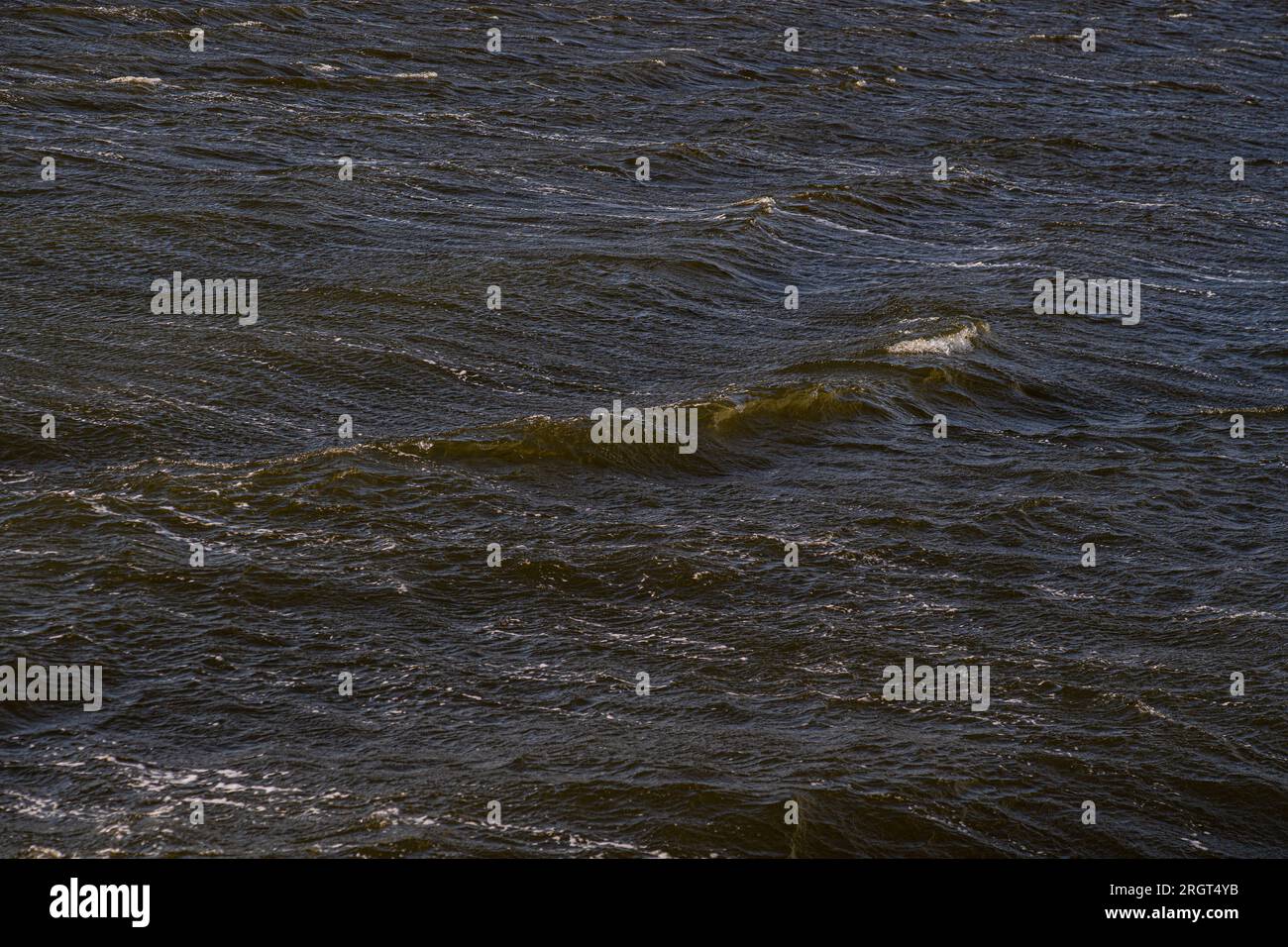 Waves on the lake surface during the storm Stock Photo - Alamy