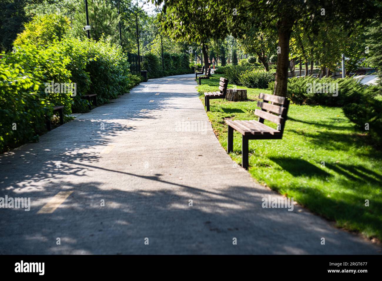 Pathway reconstruction hi-res stock photography and images - Alamy