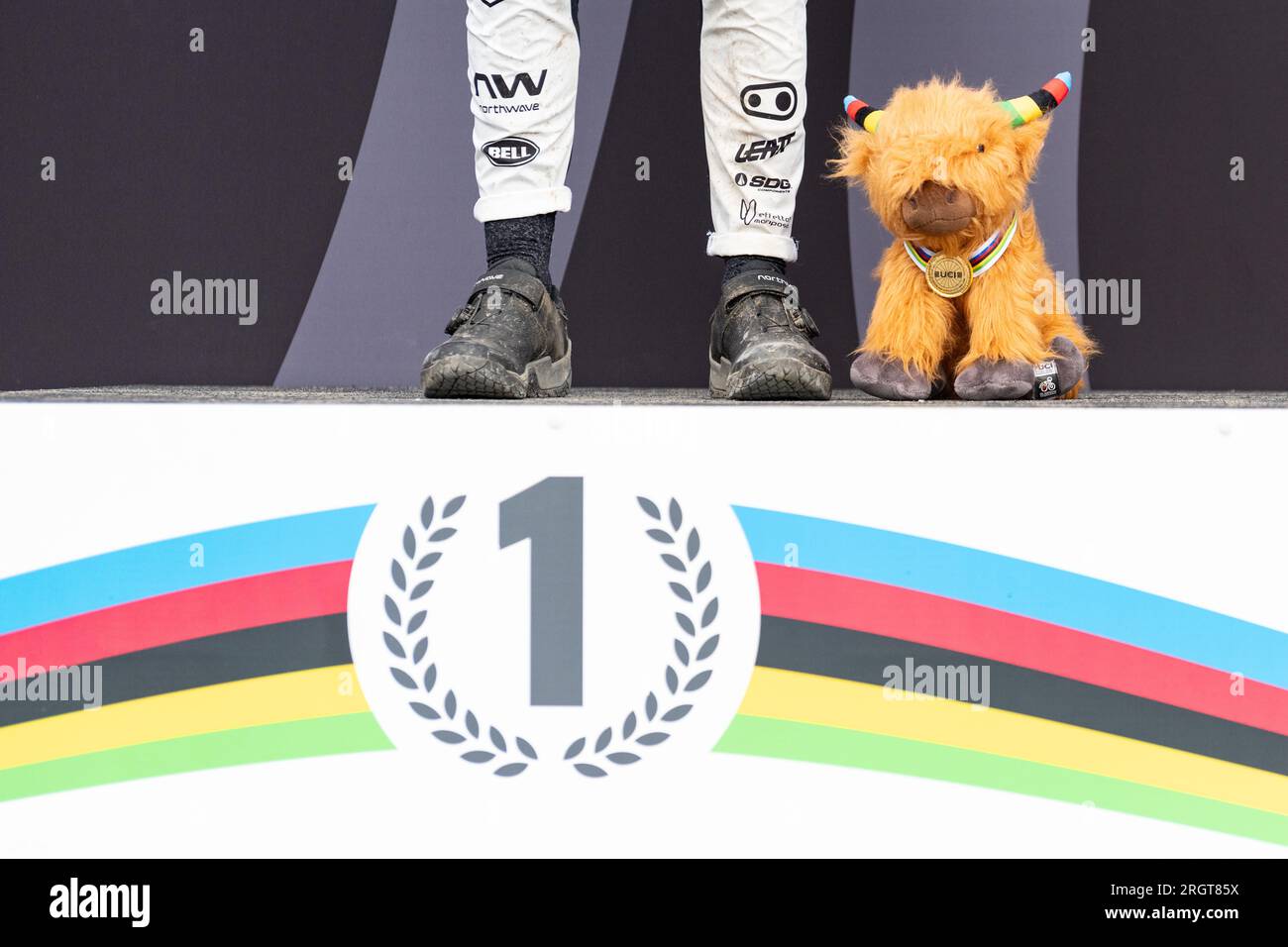 UCI highland cow cattle presented to podium winners at the 2023 UCI ...