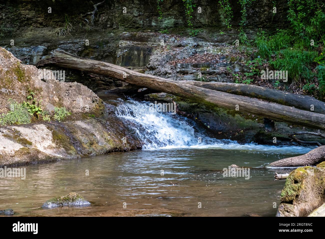 Small stream in Saltburn Park Stock Photo - Alamy