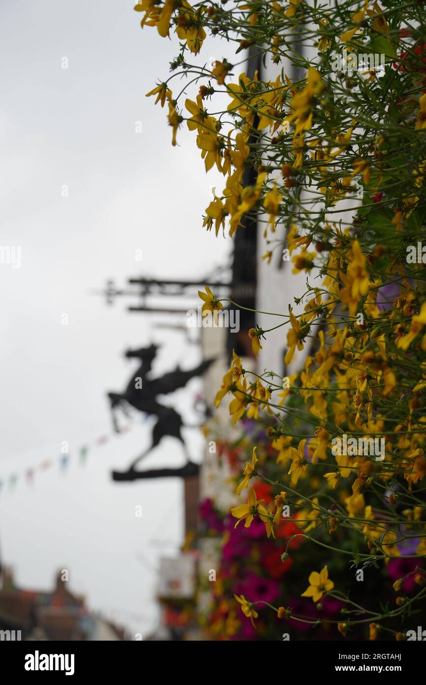 Desktop flowers hi-res stock photography and images - Alamy