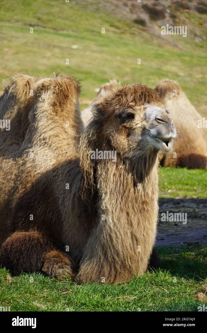 Life wallpaper hi-res stock photography and images - Alamy