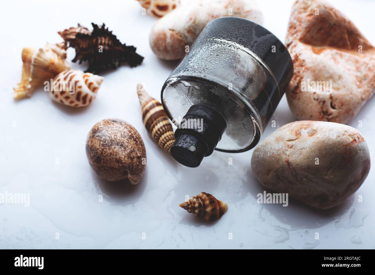 Perfume concept with sea notes. Frosted glass perfume bottle with sea ...