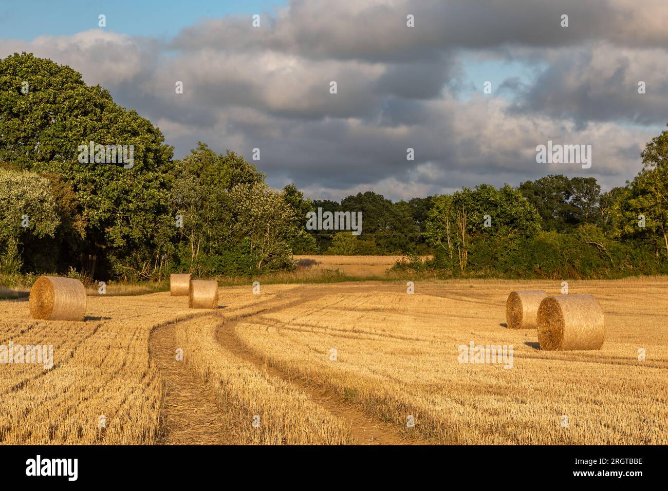 Farmland in rural Sussex, with hay bales after harvesting Stock Photo ...