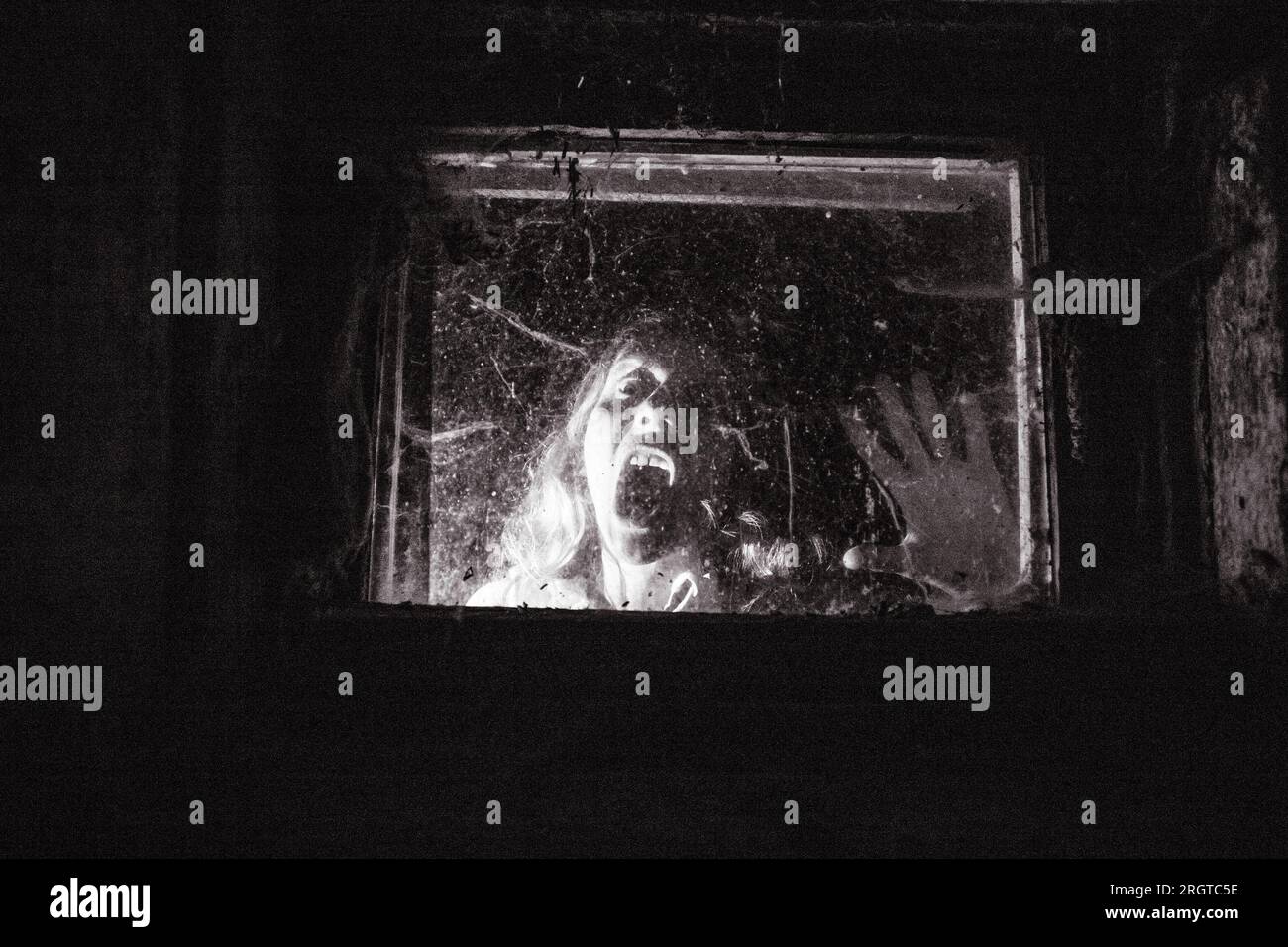 scary woman behind window at night Halloween horror background Stock ...
