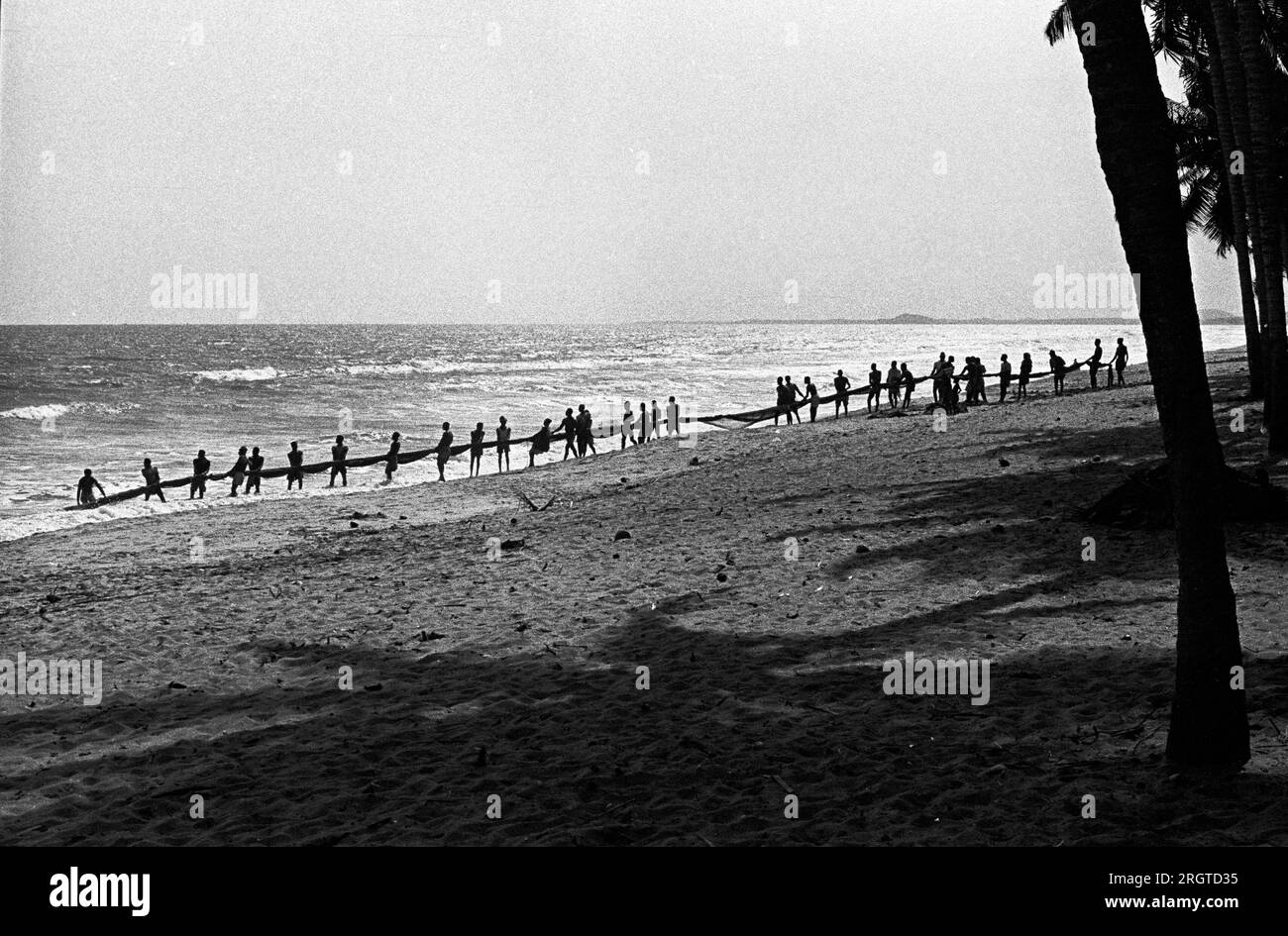 Seine net fishing from the beach at Akuso, near Winneba, Ghana. Work ...