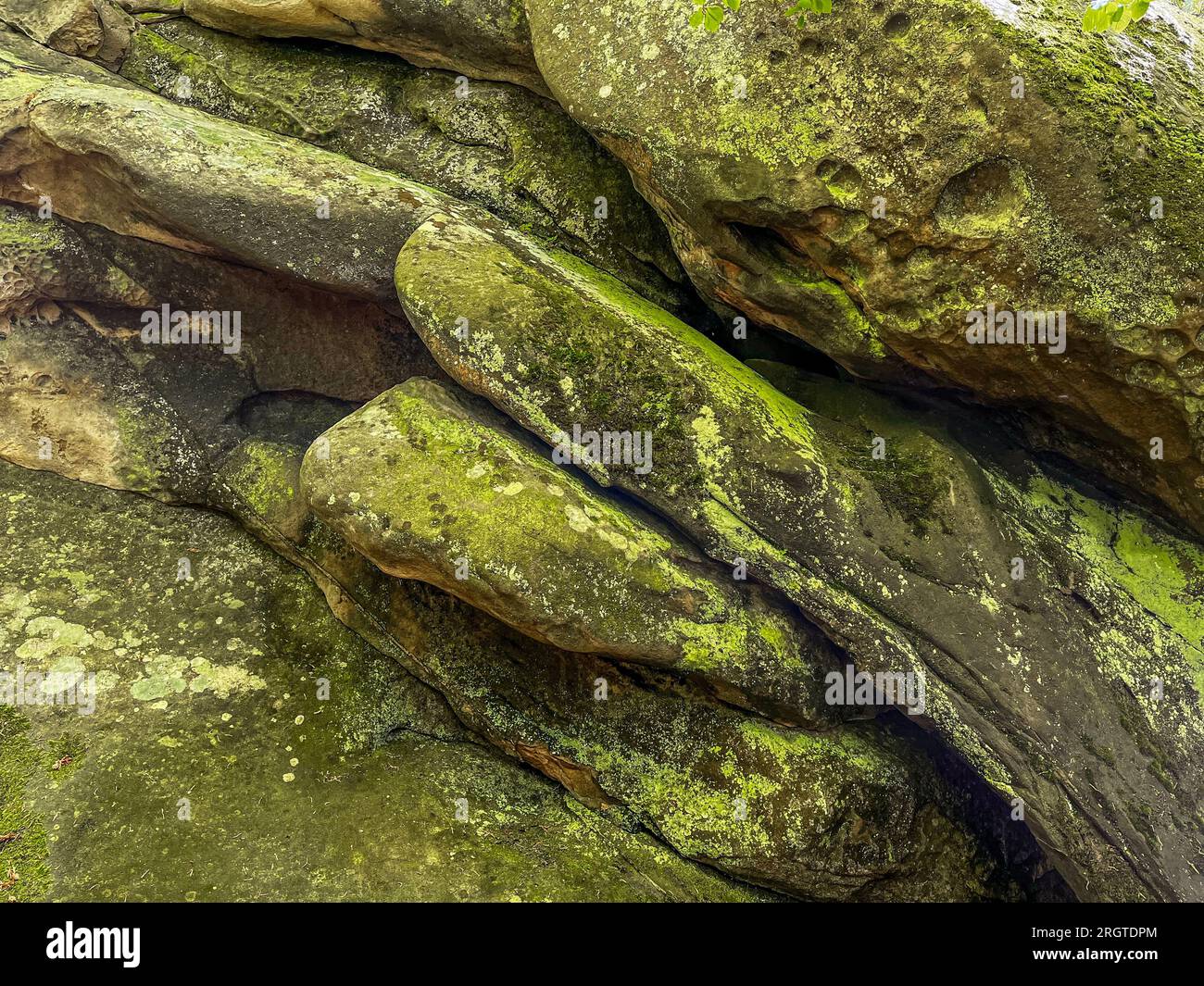 Old mossy stones in forest Stock Photo - Alamy